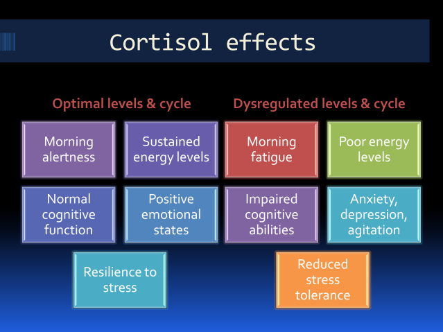 Cortisol Effects